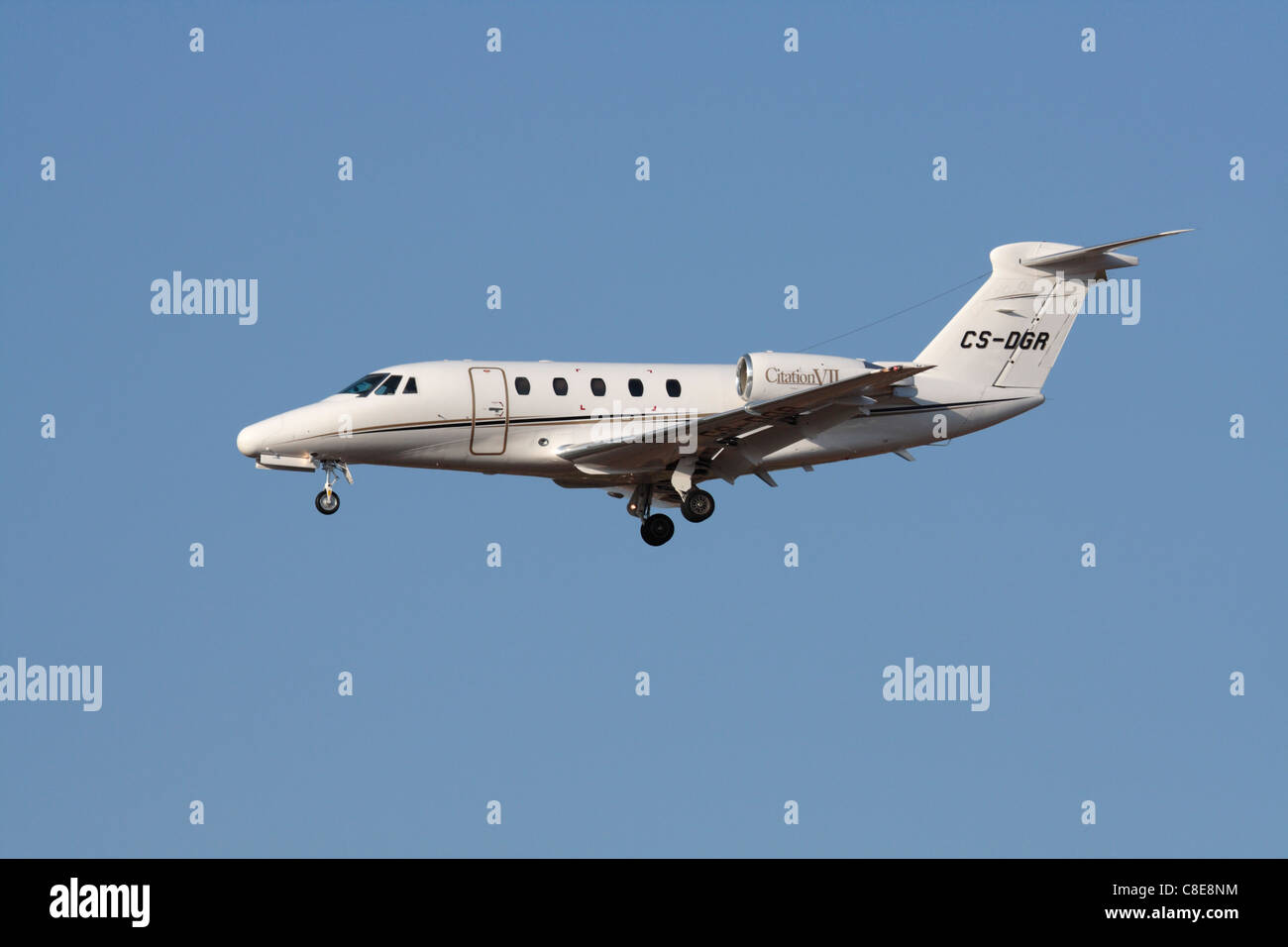VIP transportation by air. Cessna Citation VII business jet operated by ...