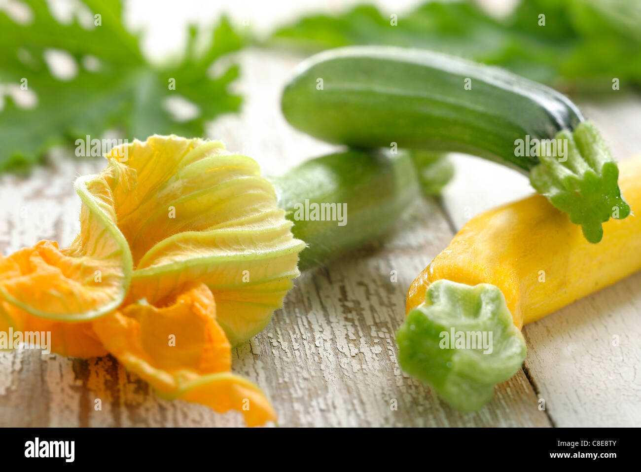 Zucchini flowers hi-res stock photography and images - Alamy