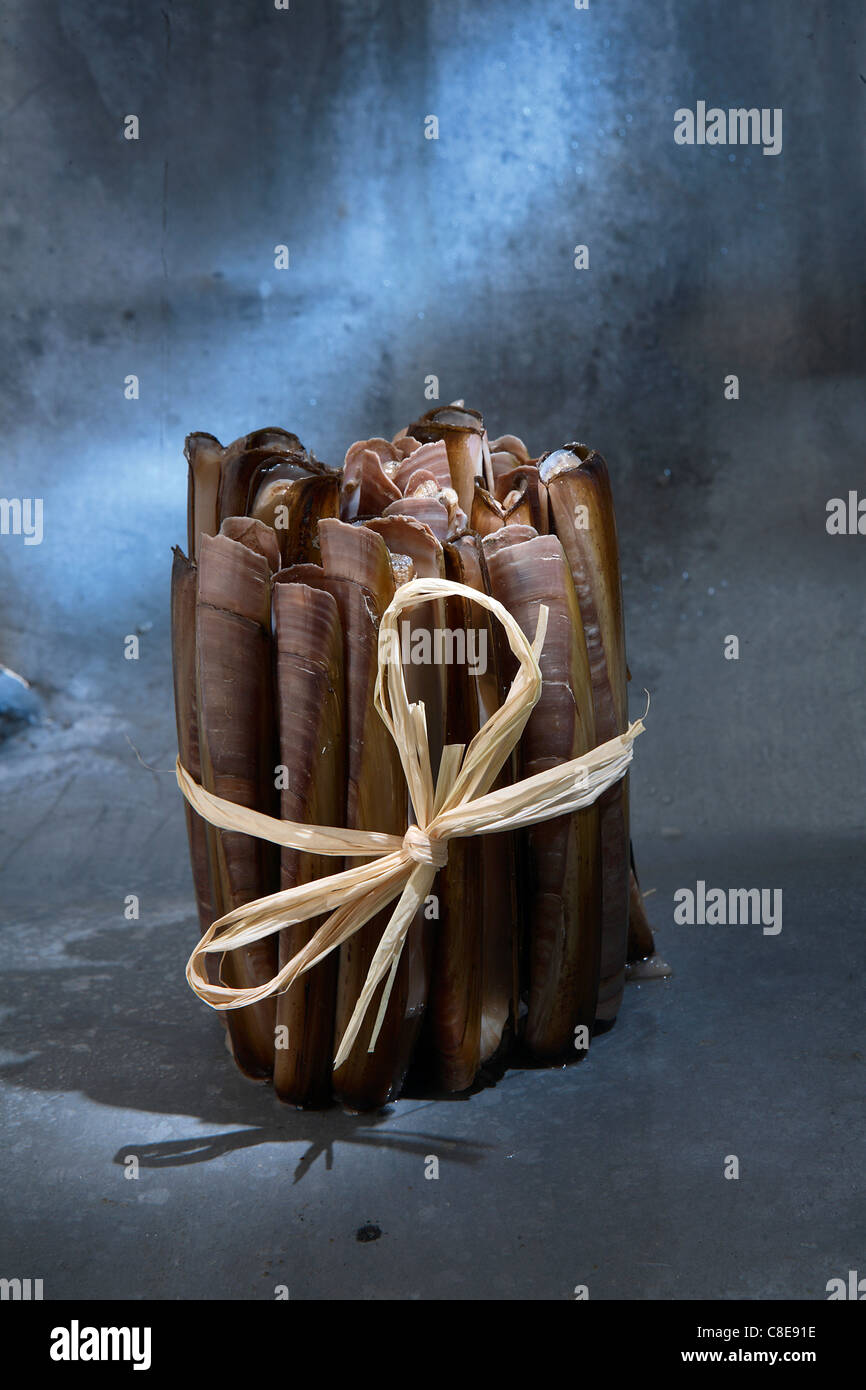 Razor clams hi-res stock photography and images - Alamy