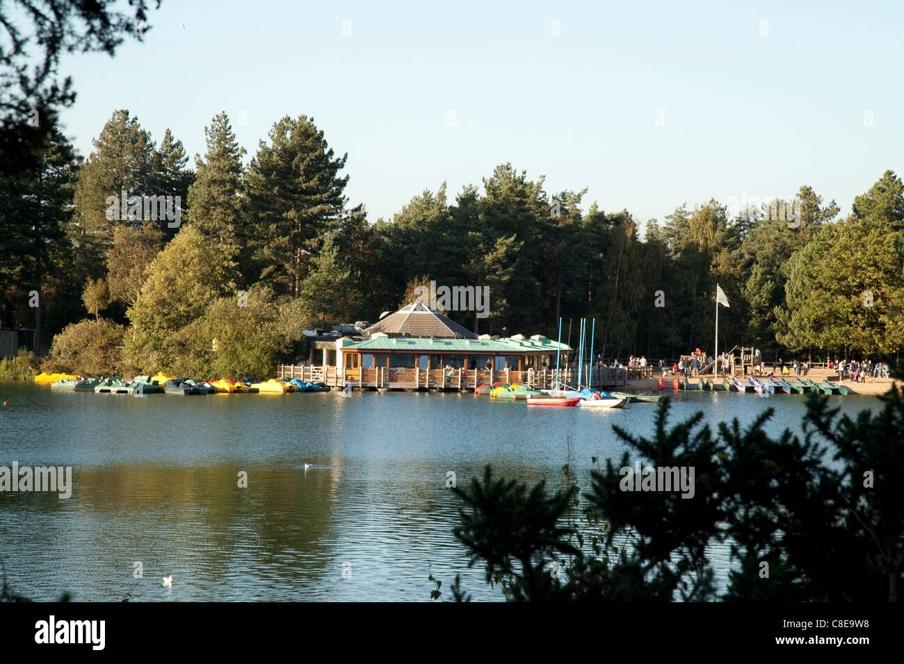Center parcs sherwood forest england hi-res stock photography and ...