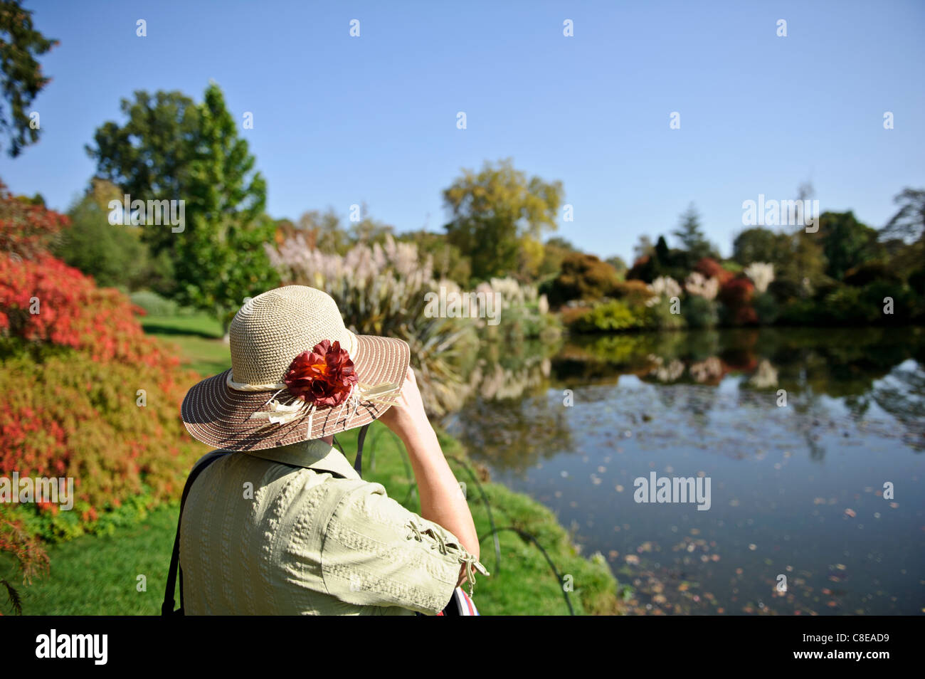 Lady photographing the landscape, United Kingdom Stock Photo - Alamy