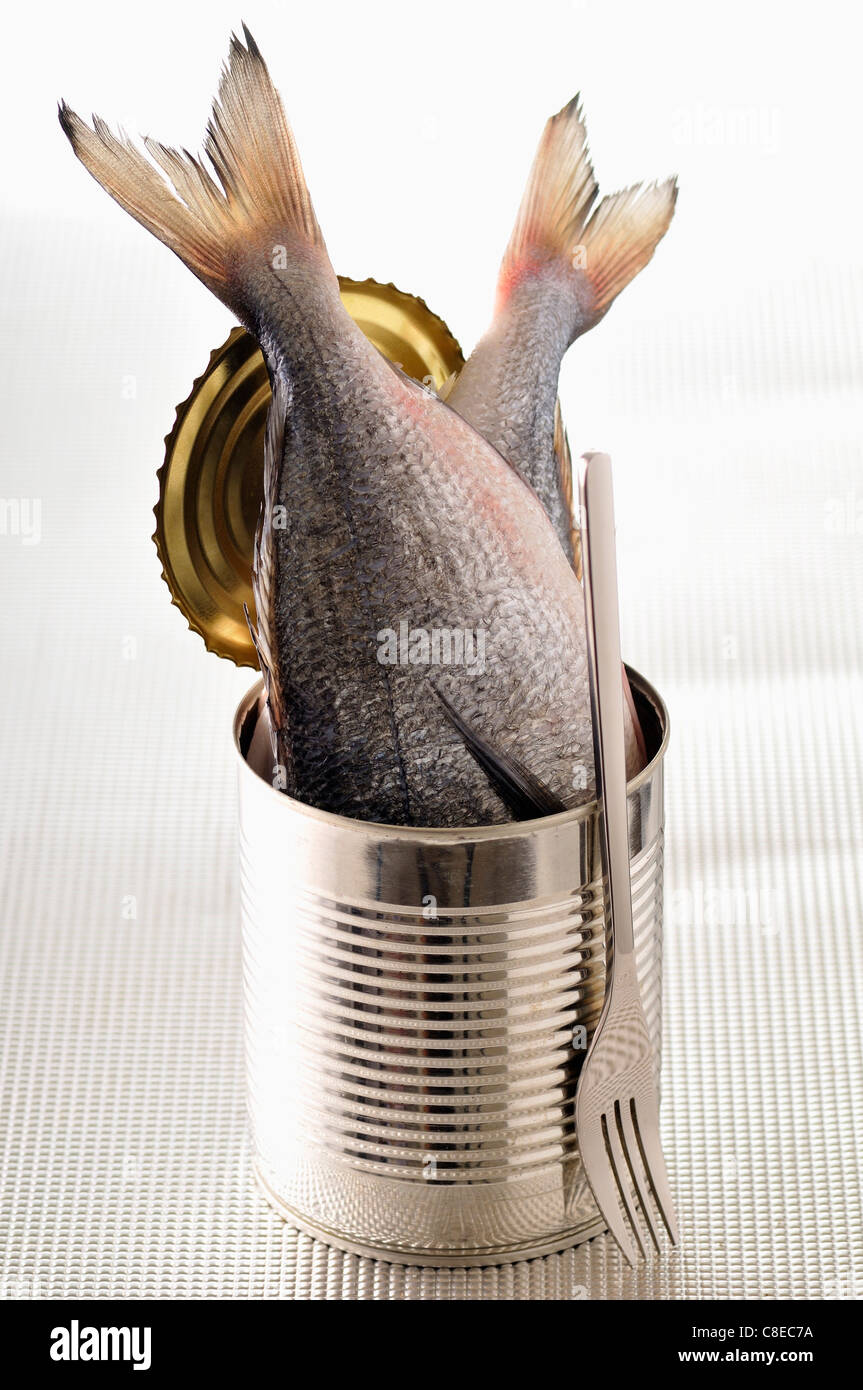 Pink sea bream hi-res stock photography and images - Alamy