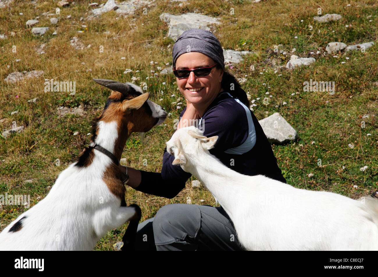 Female goats hi-res stock photography and images - Alamy