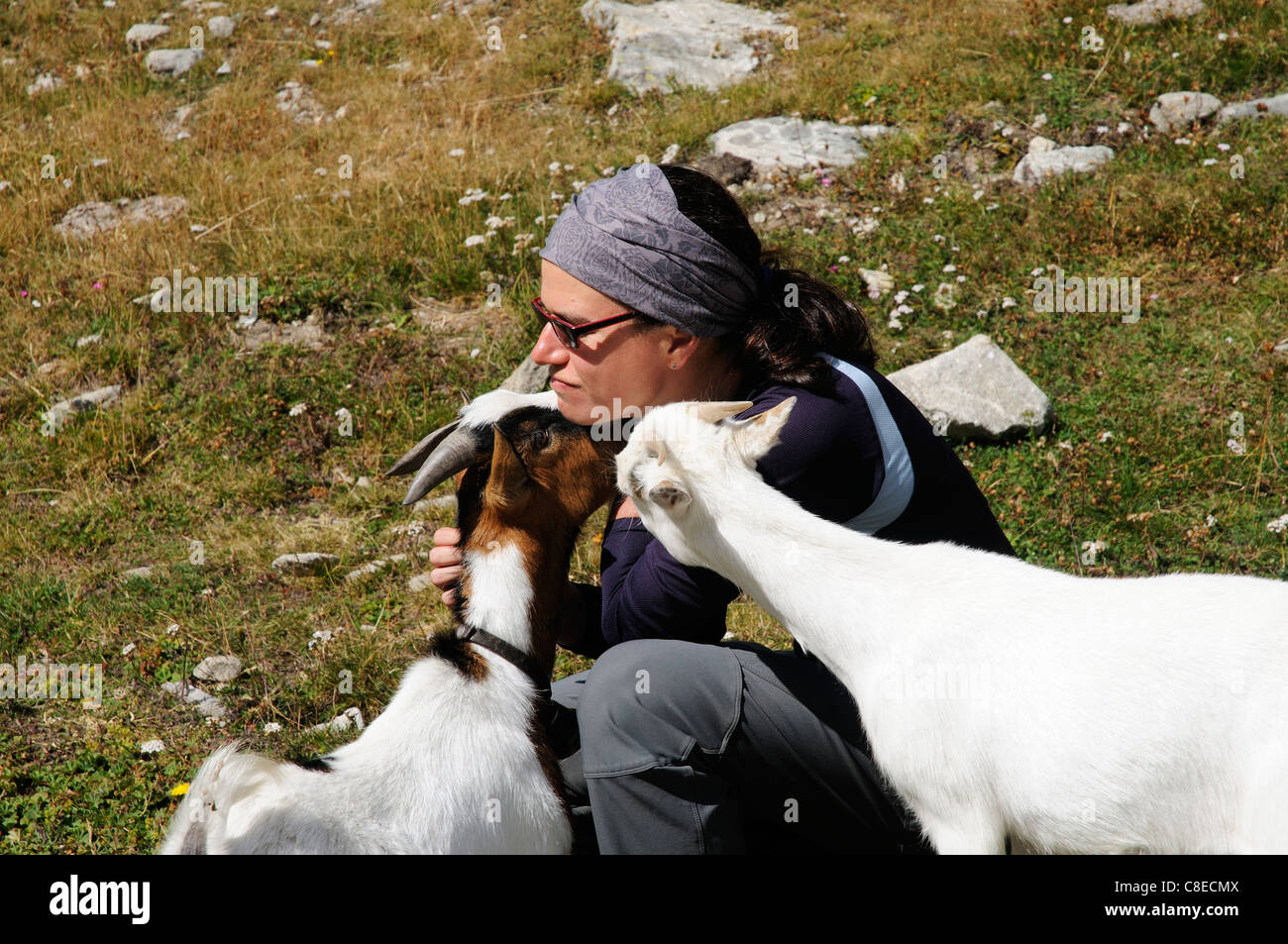Female goats hi-res stock photography and images - Alamy