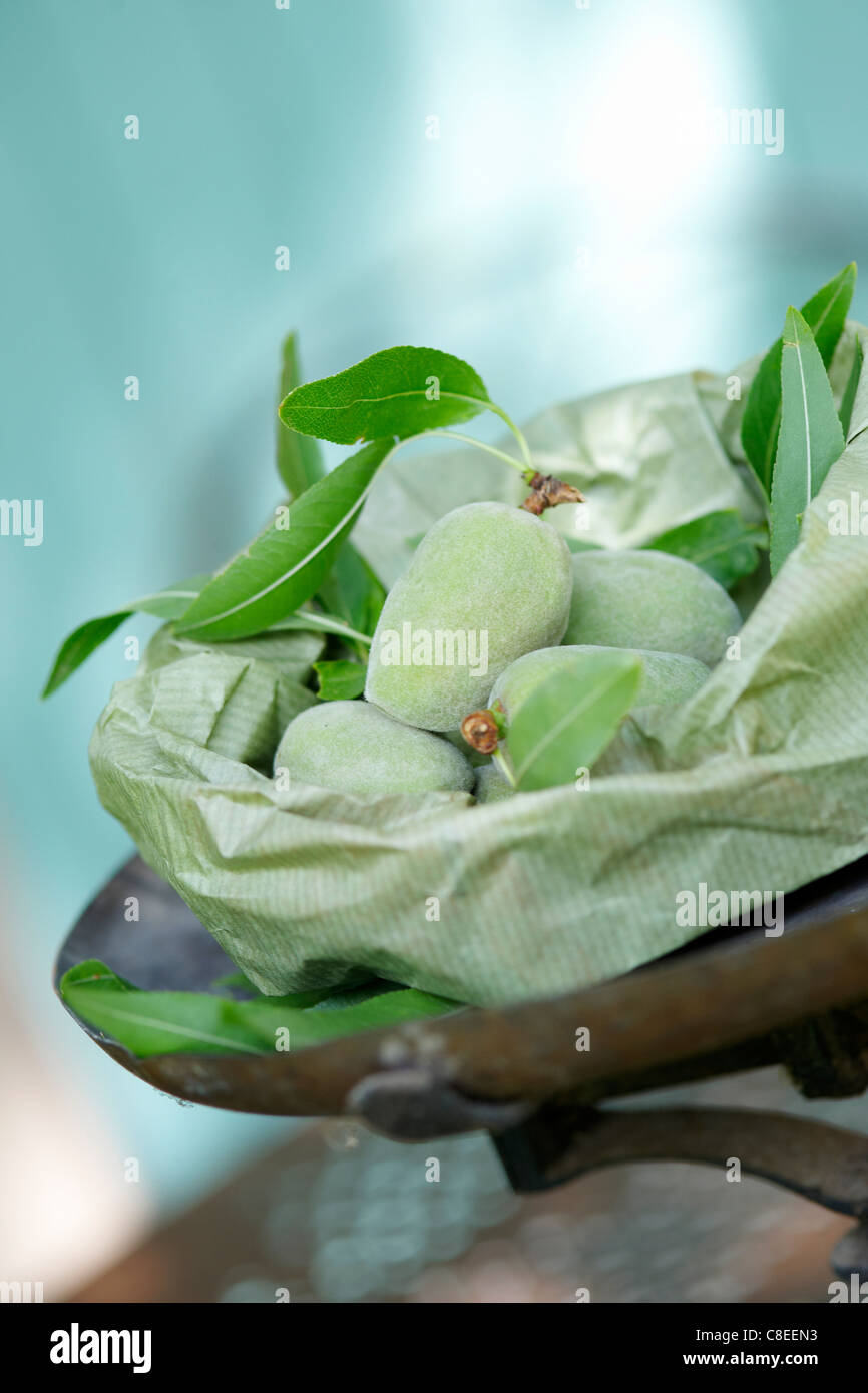 Weighing fresh almonds Stock Photo - Alamy