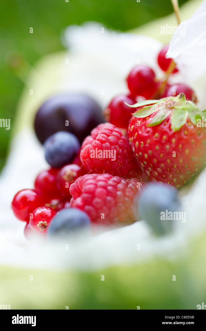 Cherry grass fruit hi-res stock photography and images - Alamy