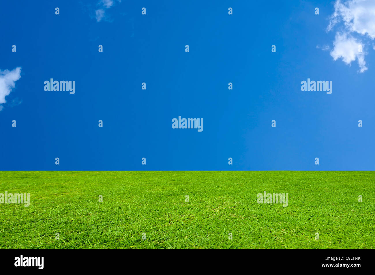 Emerald Green Grass with a Cerulean Blue Sky Stock Photo - Alamy