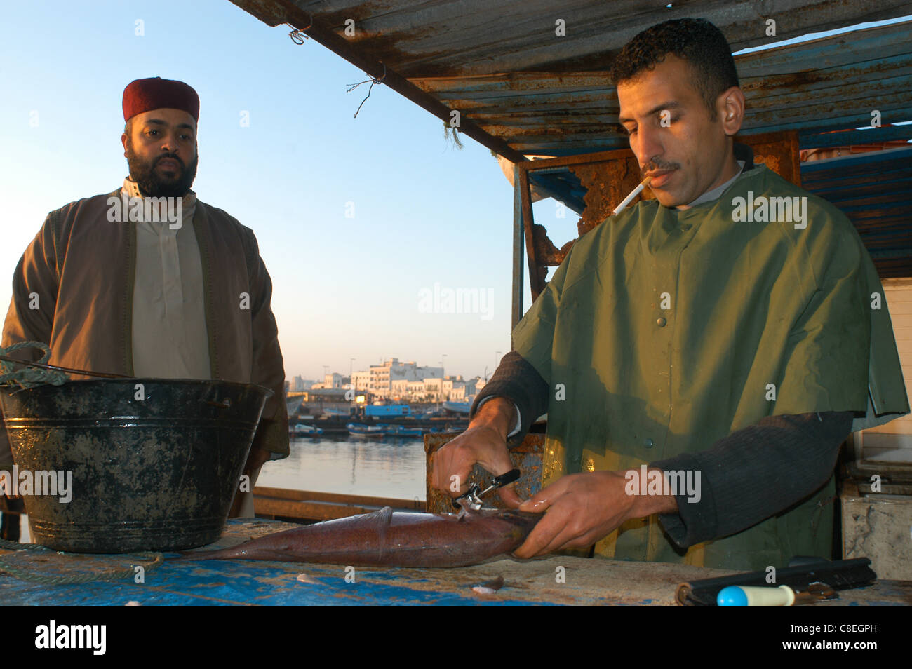 Tripoli, Libya fish market Stock Photo - Alamy