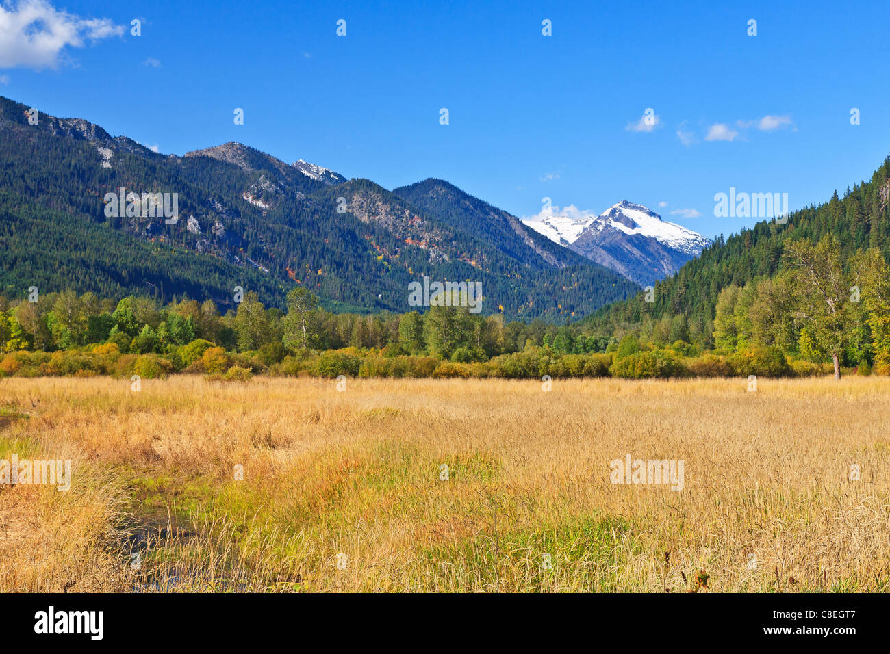 Grassy field in the Fall season with early snow in the high mountains ...