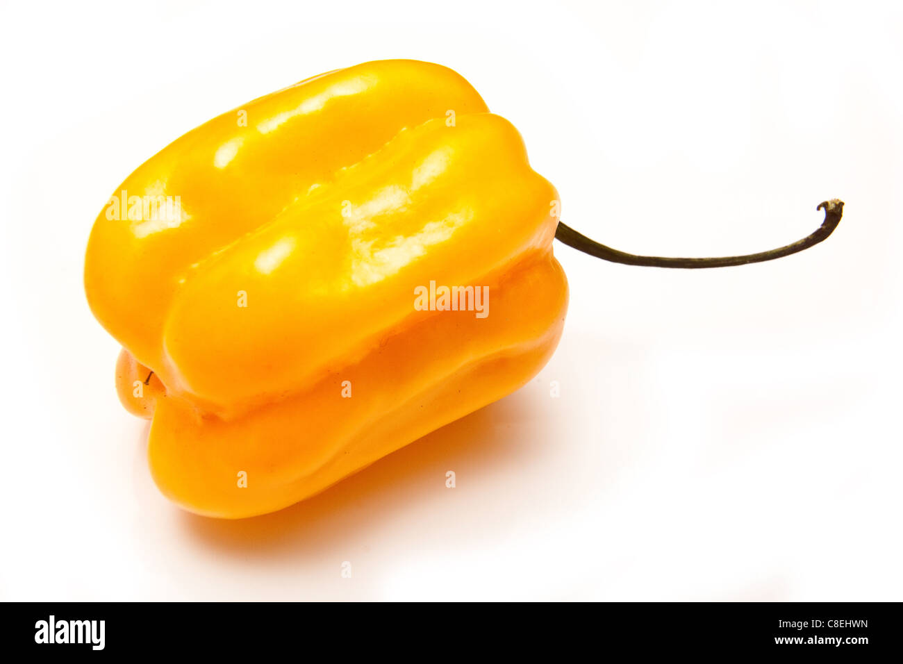 Scotch bonnet chili studio hi-res stock photography and images - Alamy