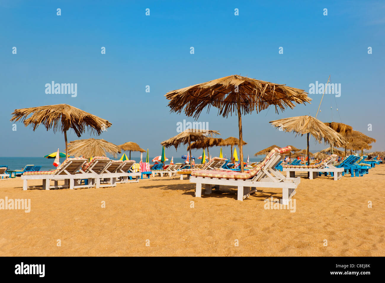 horizontal Calangute beach scene loungers shacks sand sun parasols ...