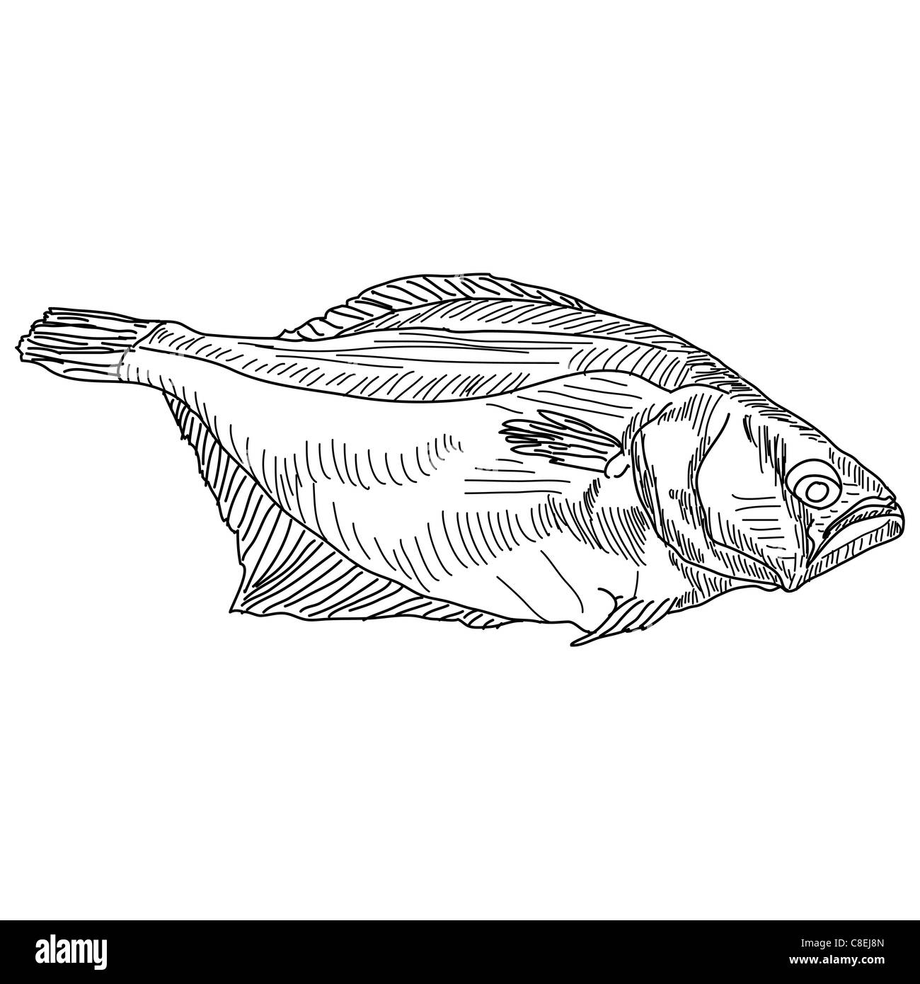 vector drawing hand fish Stock Photo - Alamy