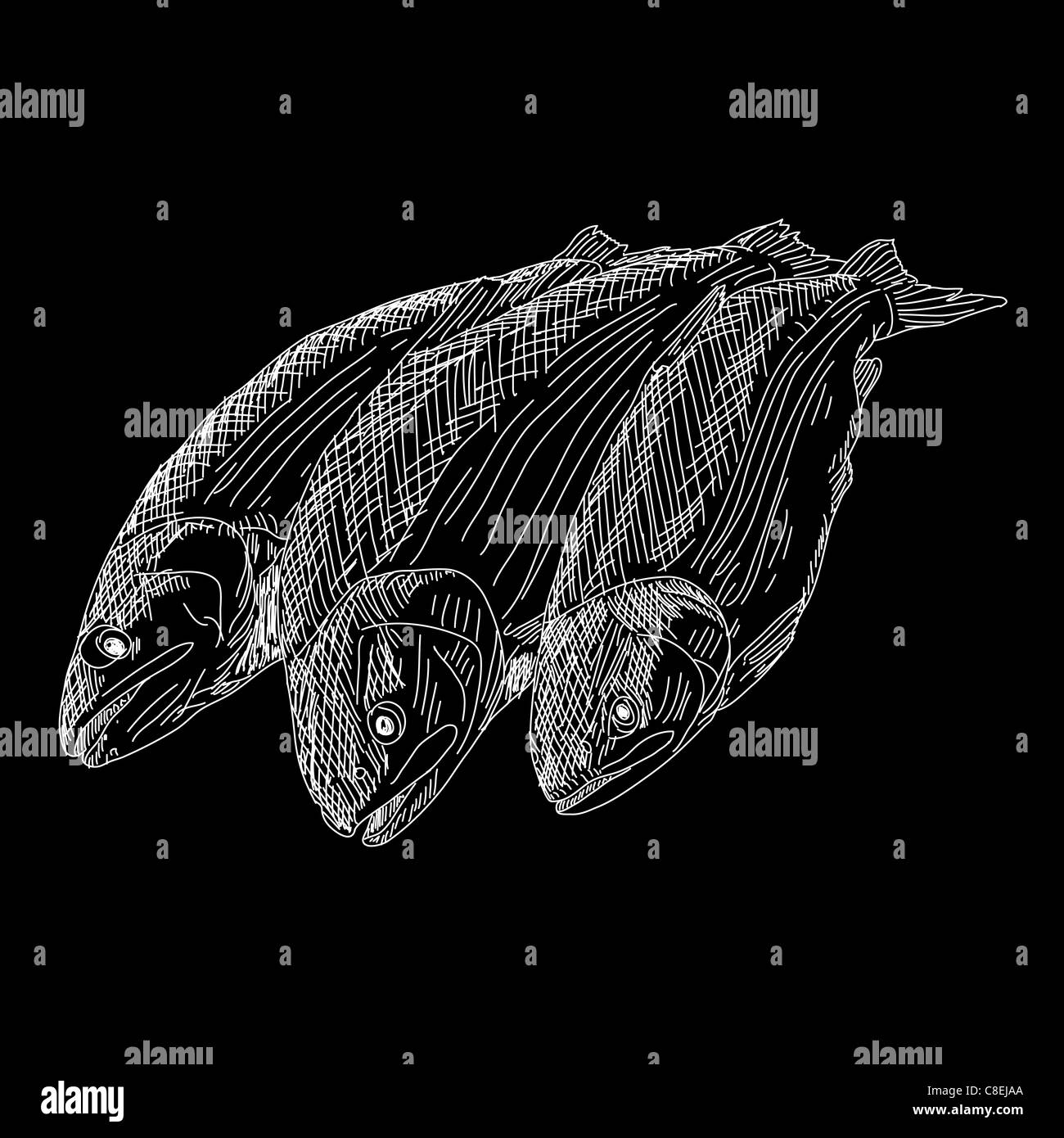 vector drawing hand fish Stock Photo - Alamy