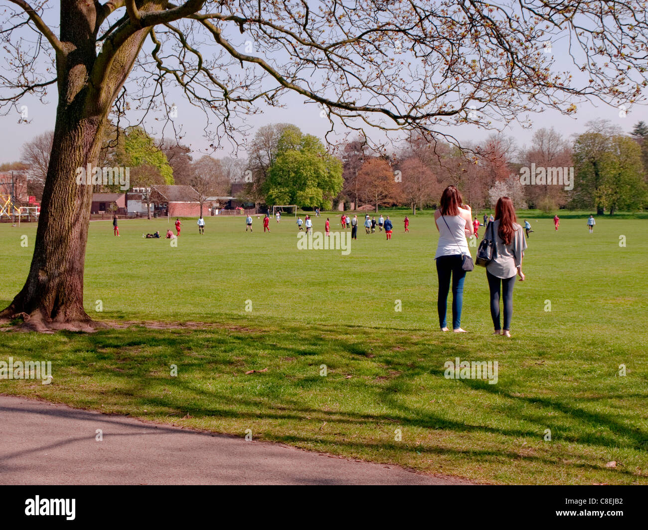 Soccer spectators hi-res stock photography and images - Alamy