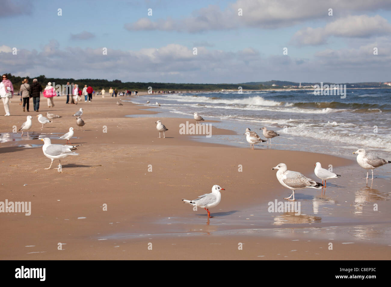Swinoujscie hi-res stock photography and images - Alamy