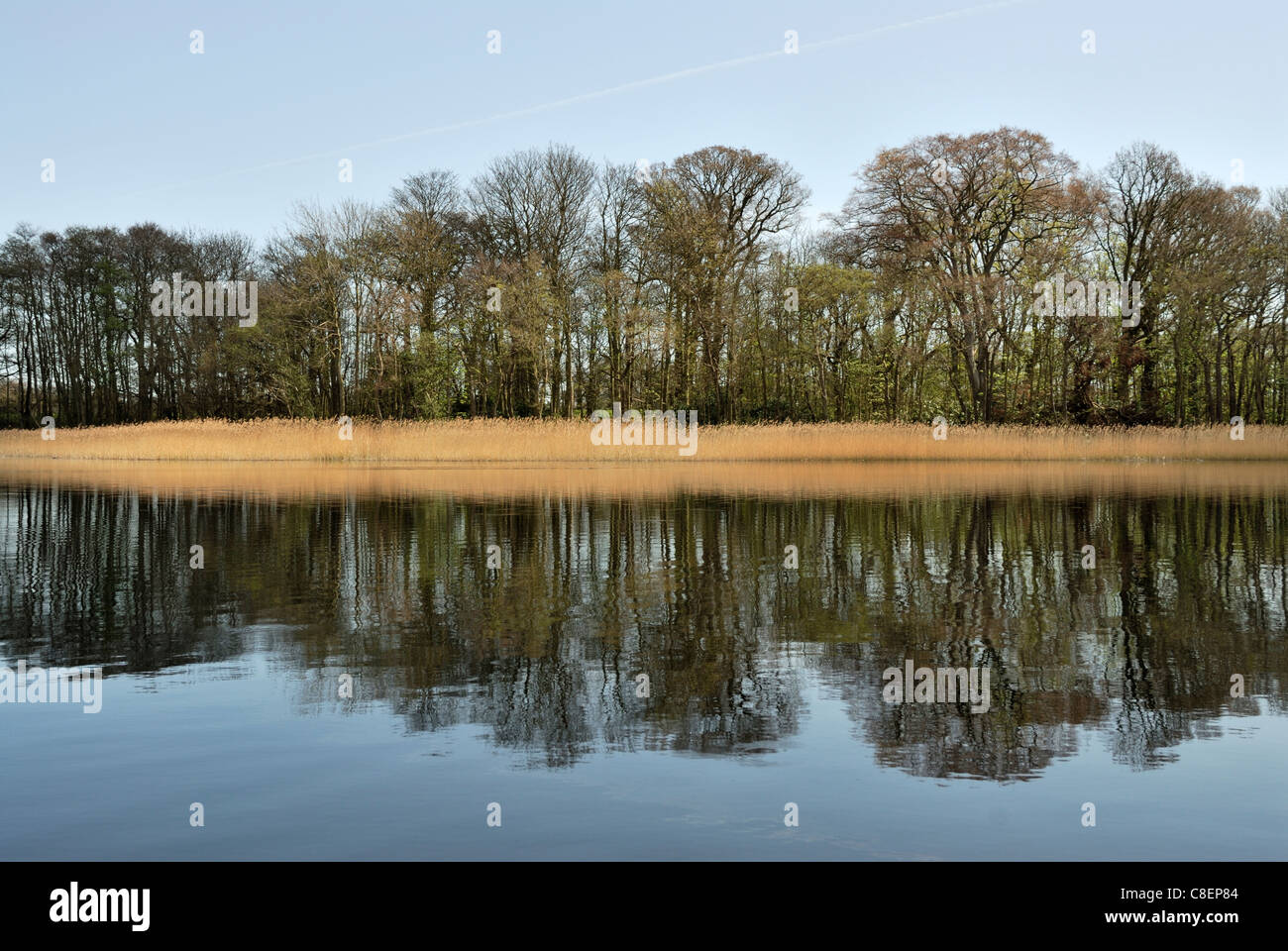Norfolk nature reserves hi-res stock photography and images - Alamy