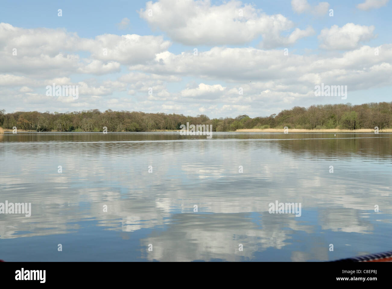 Norfolk nature reserves hi-res stock photography and images - Alamy