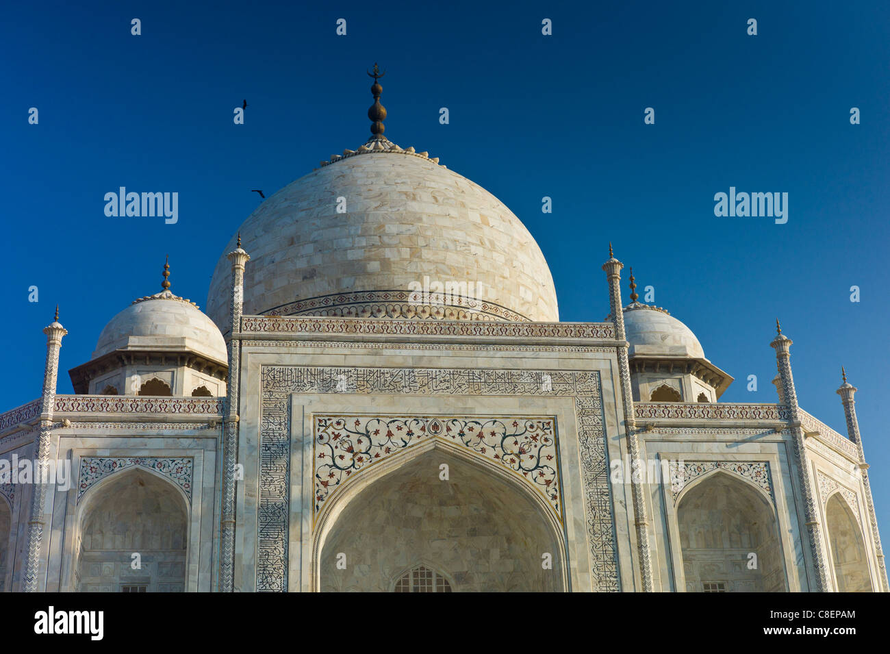 Taj Mahal mausoleum with birds flying, southern view detail of iwans ...