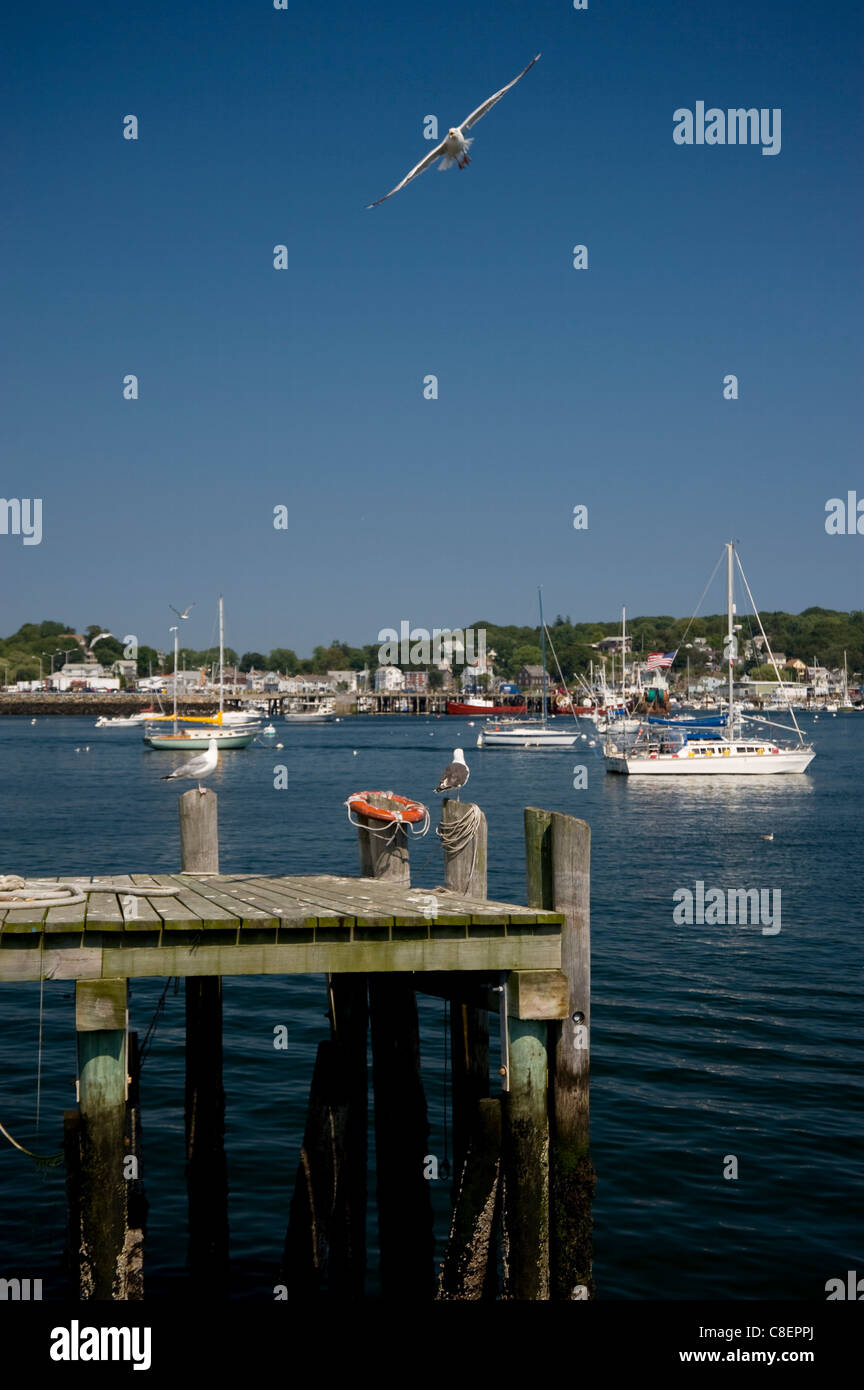 Gloucester massachusetts harbor hi-res stock photography and images - Alamy