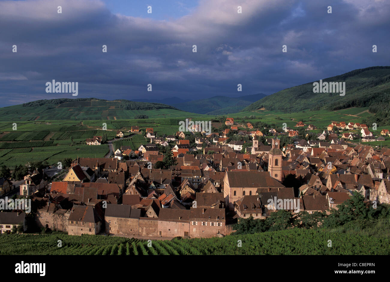 Riquewihr, Alsace, France, Europe, village, medieval, vineyards Stock ...