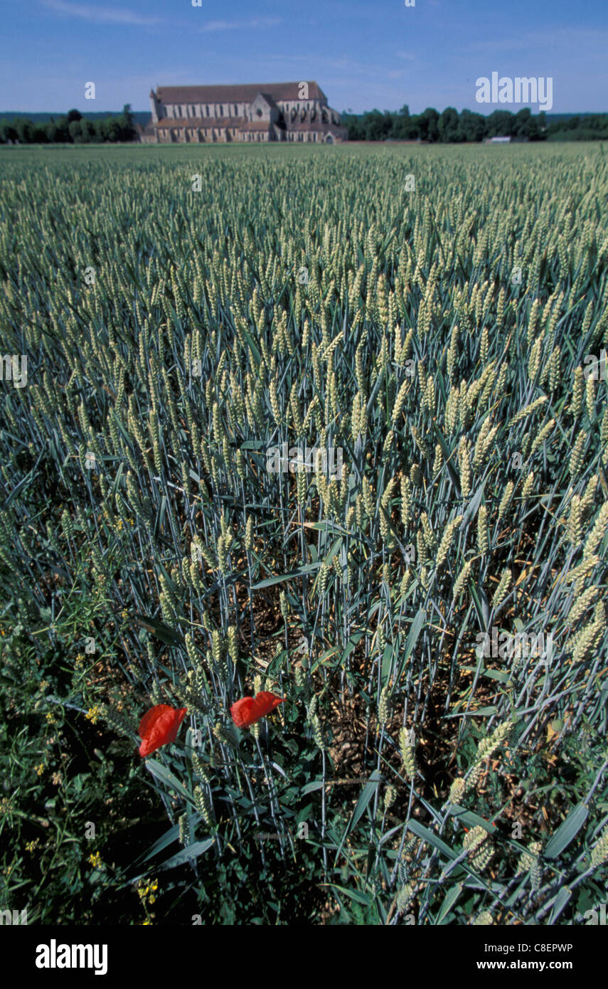 Pontigny hi-res stock photography and images - Alamy