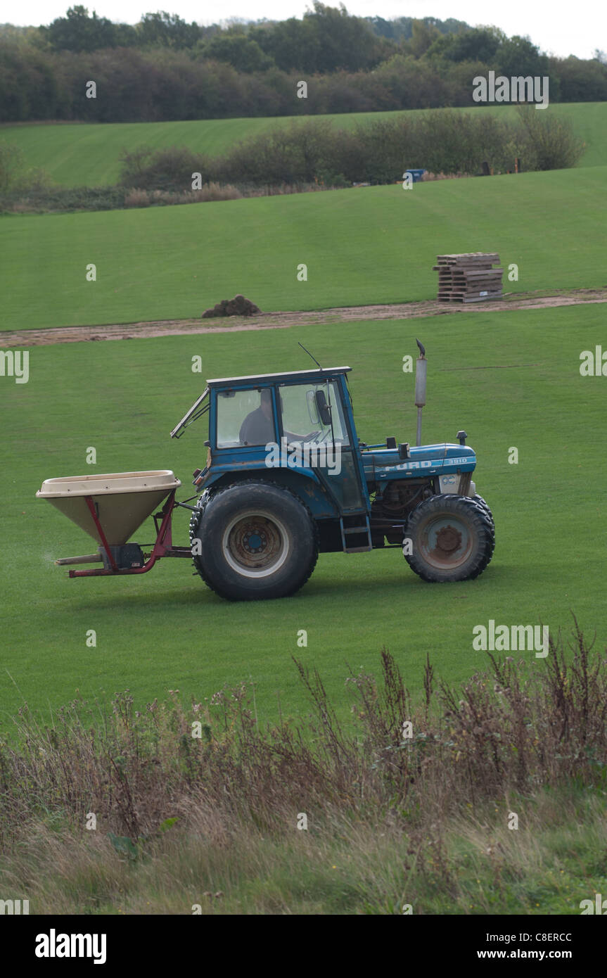 Ford tractor spreading artificial fertiliser on turf growing farm, UK ...