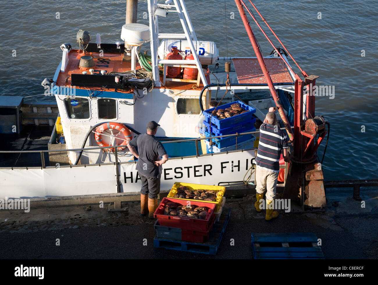 Unloading fish catch hi-res stock photography and images - Alamy