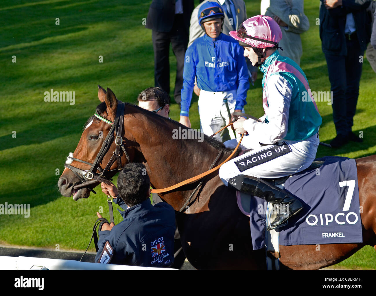 Champion racehorse Frankel in the parade ring at Ascot before running ...