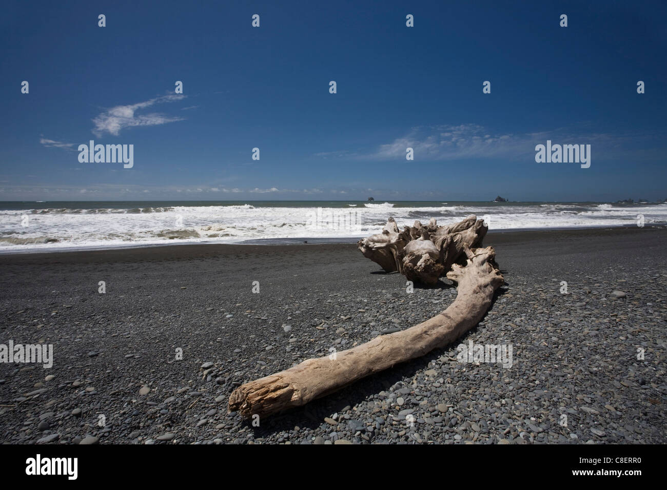 Olympic peninsula washington hi-res stock photography and images - Alamy
