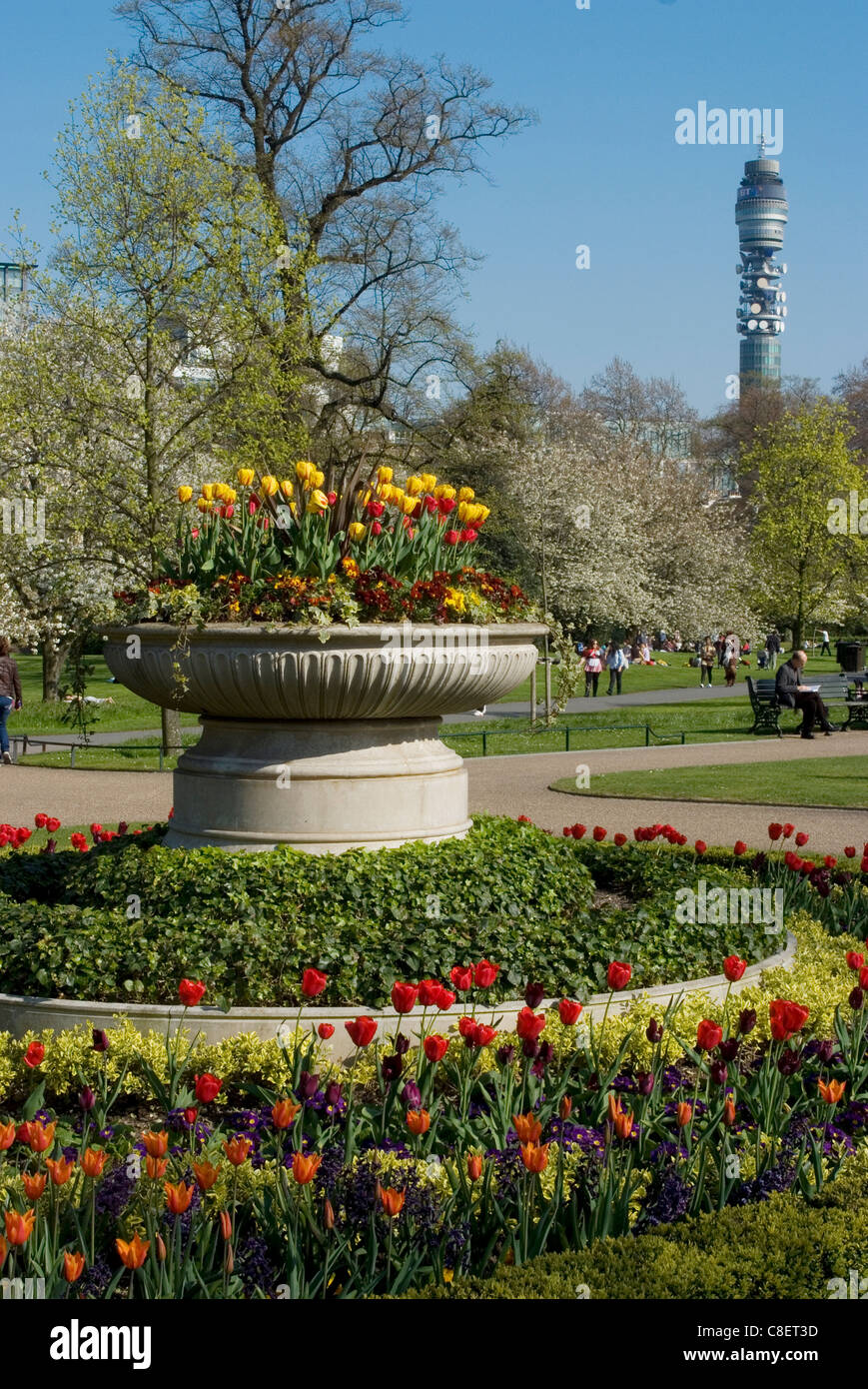 Spring display of tulips, Regent's Park, London NW1, England, United ...