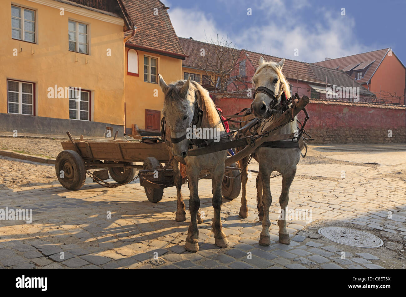 Medieval cart wagon hi-res stock photography and images - Alamy