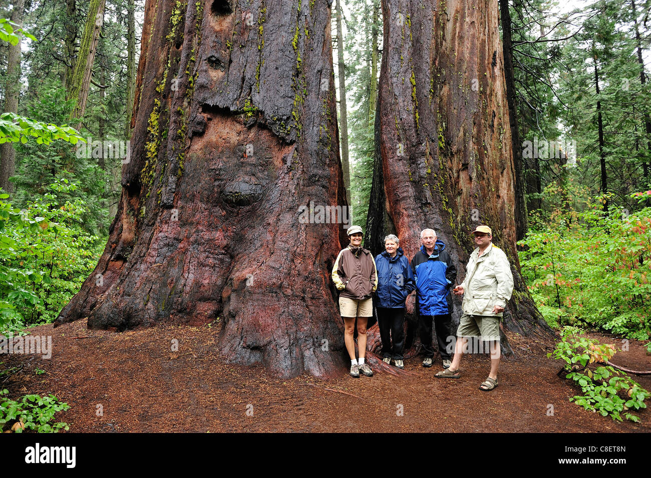 Family, North Grove Trail, Calaveras Big Tree, State Park, California ...
