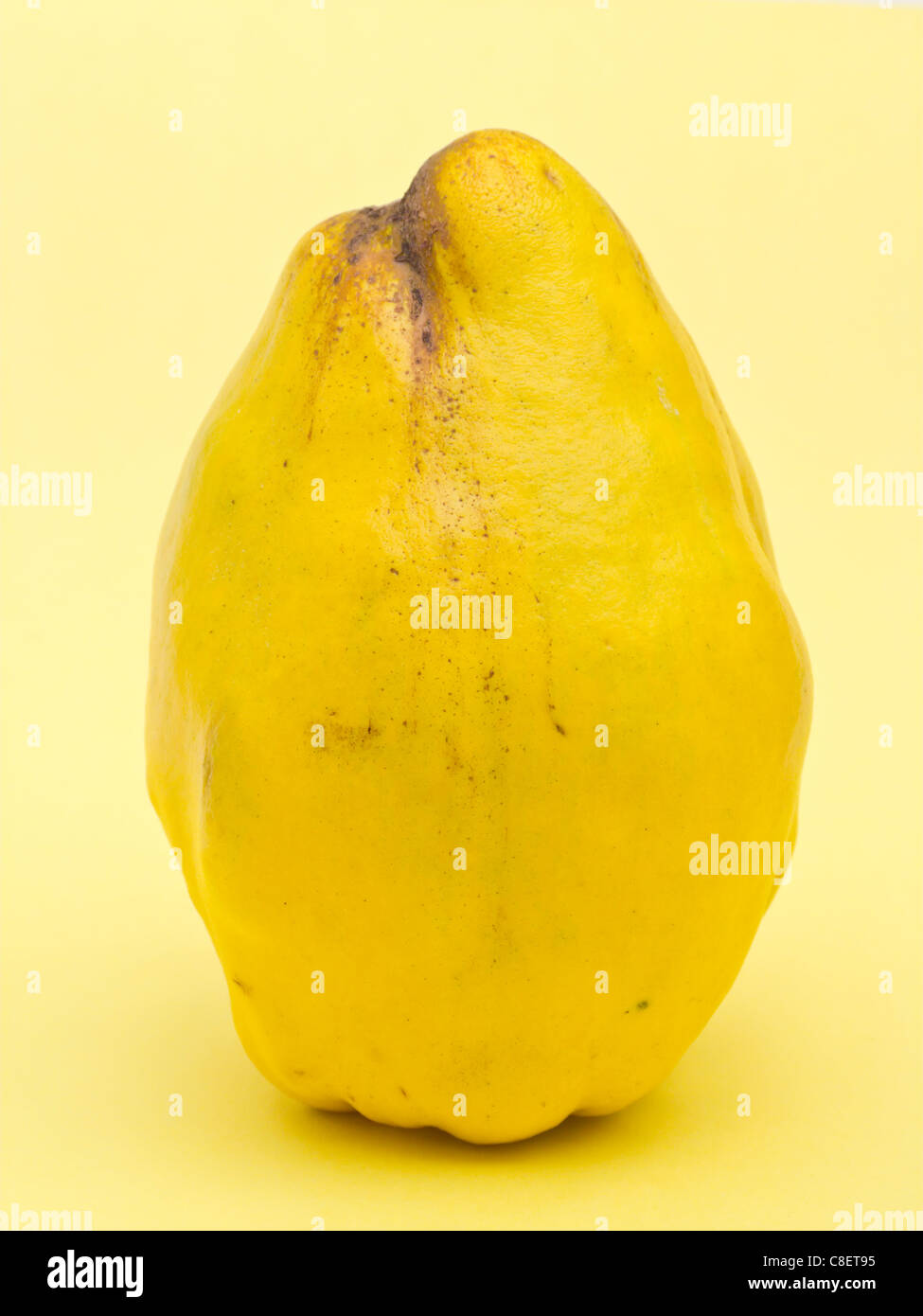 Quince Pear High Resolution Stock Photography and Images - Alamy