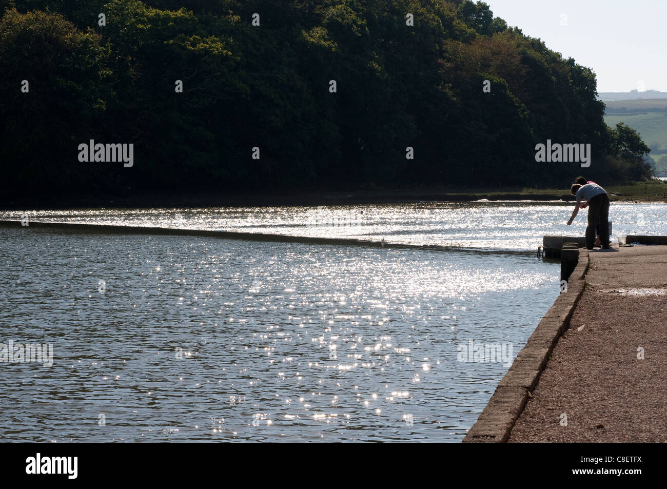the river at Stoke Gabriel Stock Photo - Alamy