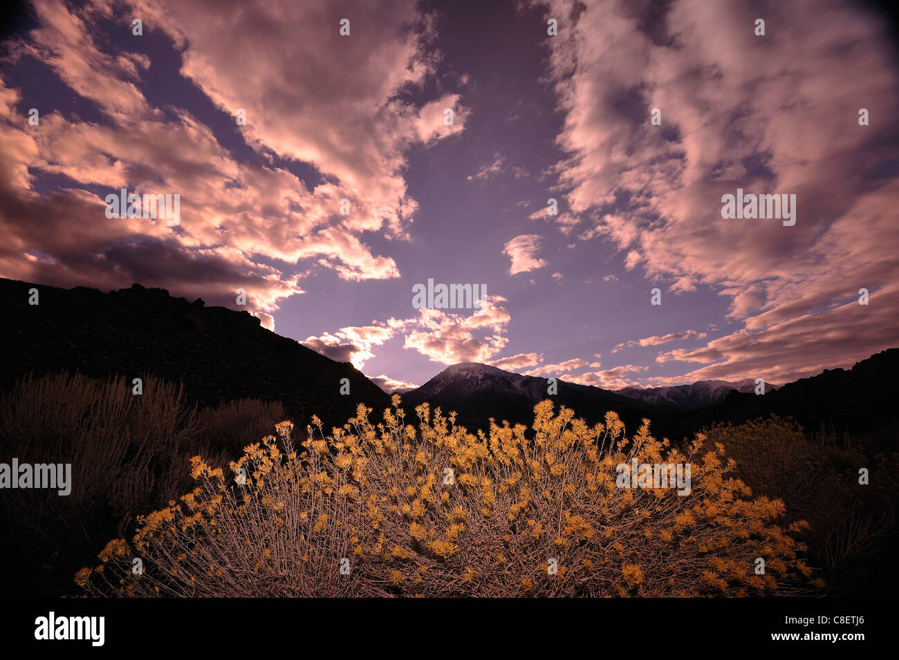 Fall, colors, June Lake Loop, near Mammoth Lakes, California, USA ...