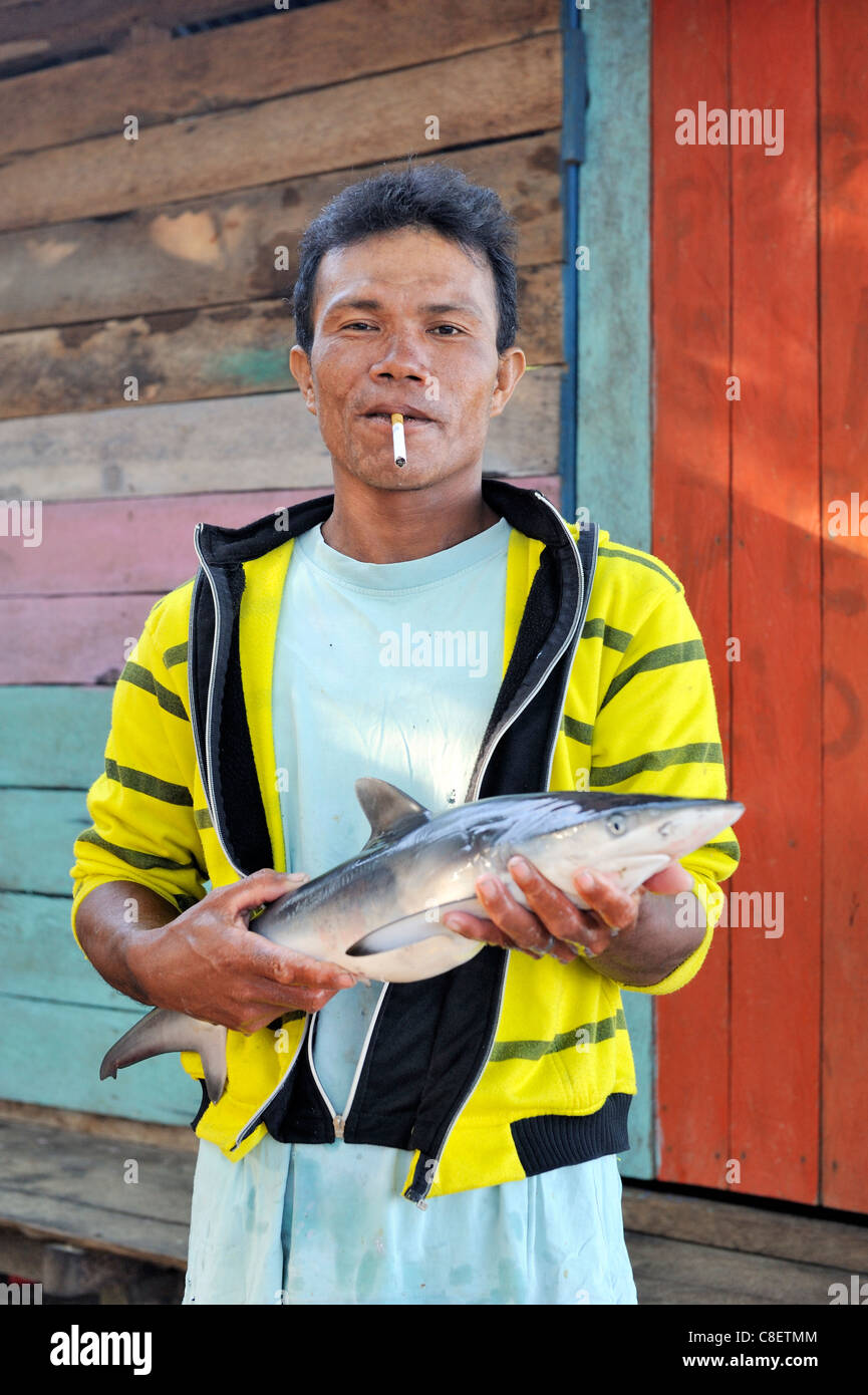 Small shark hi-res stock photography and images - Alamy