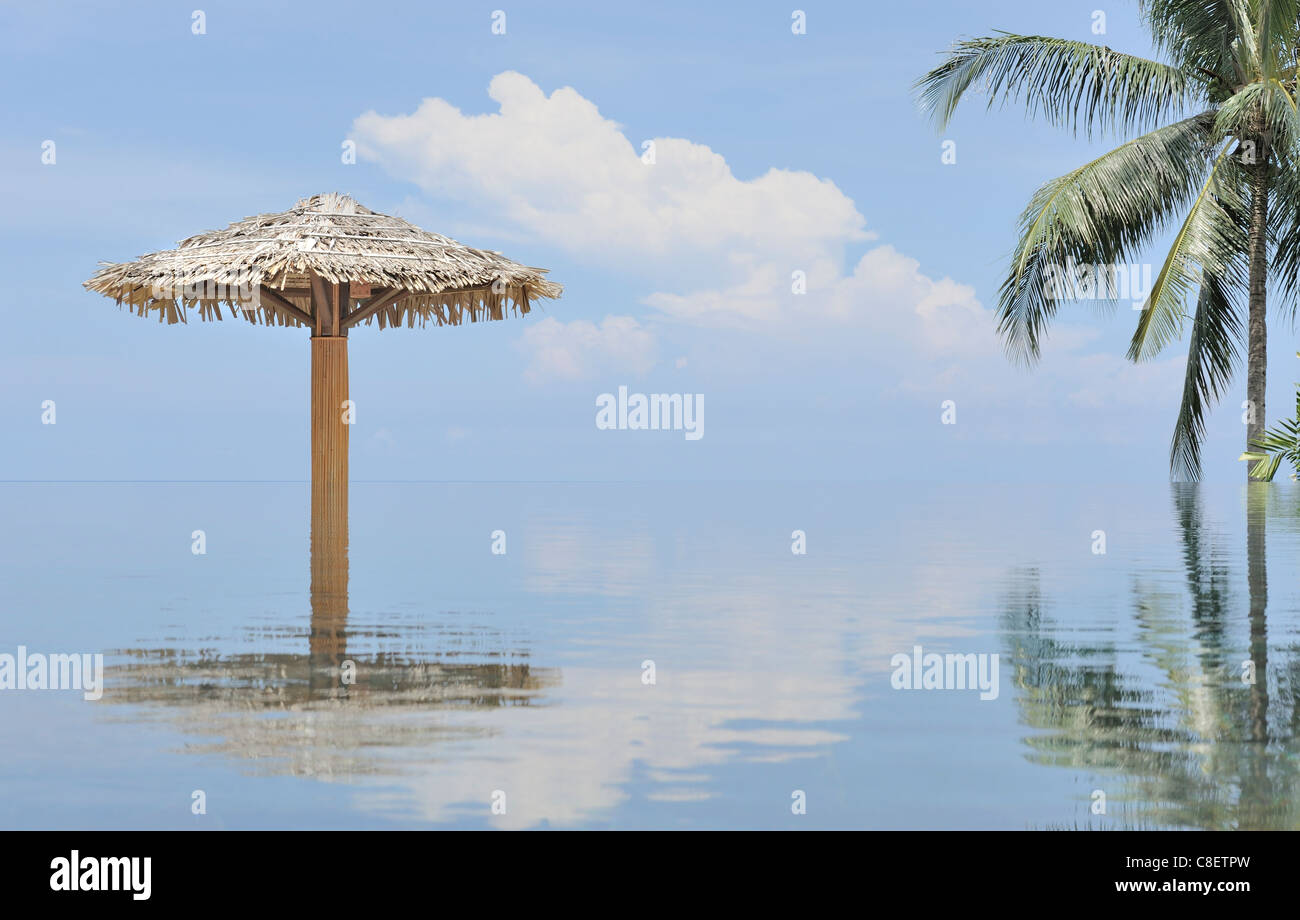 Serene tropical infinity pool scene Stock Photo - Alamy