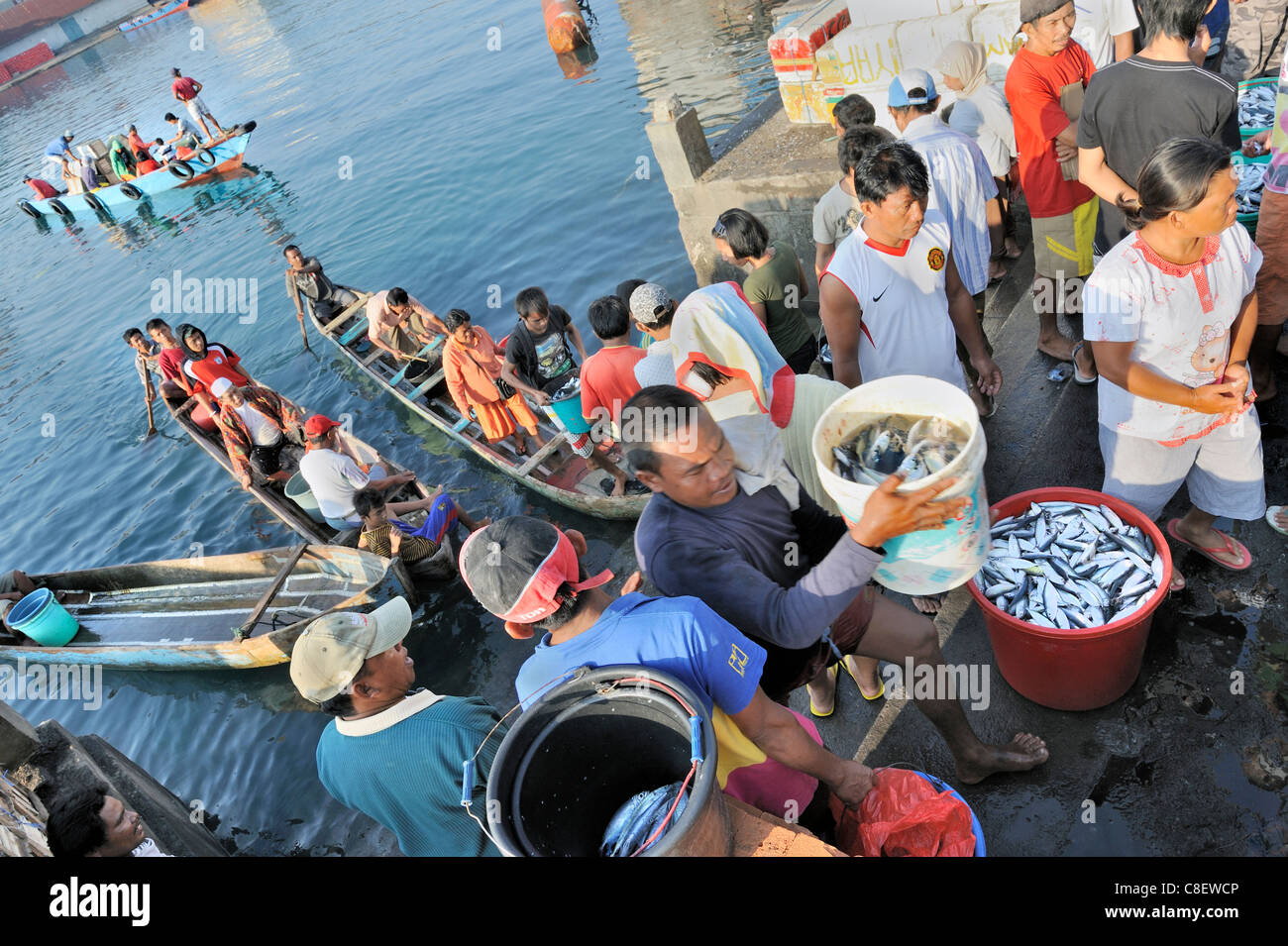 Fishermen unloading their catch from boats in the harbor at Manado ...