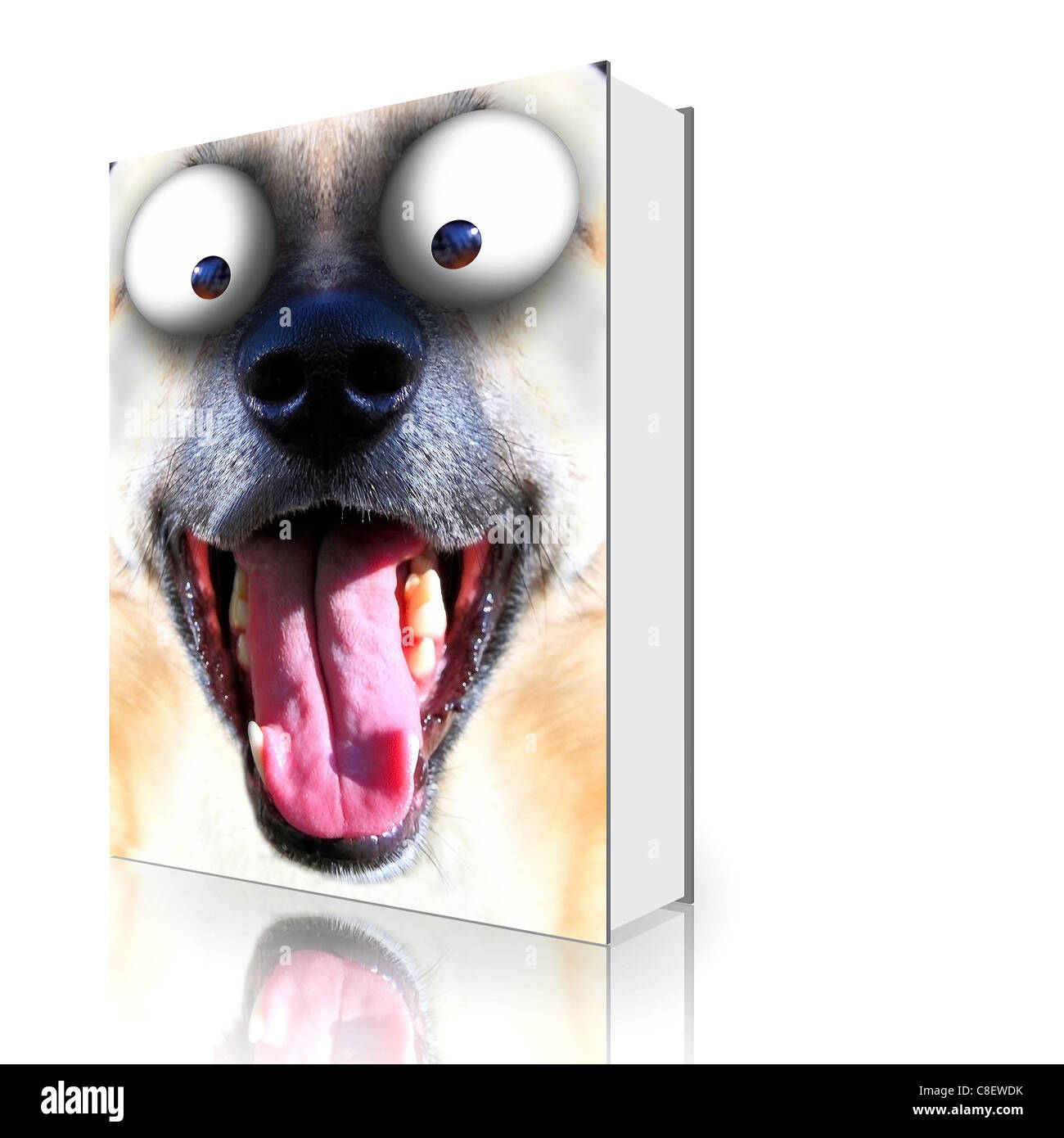 Book dog smile Stock Photo - Alamy