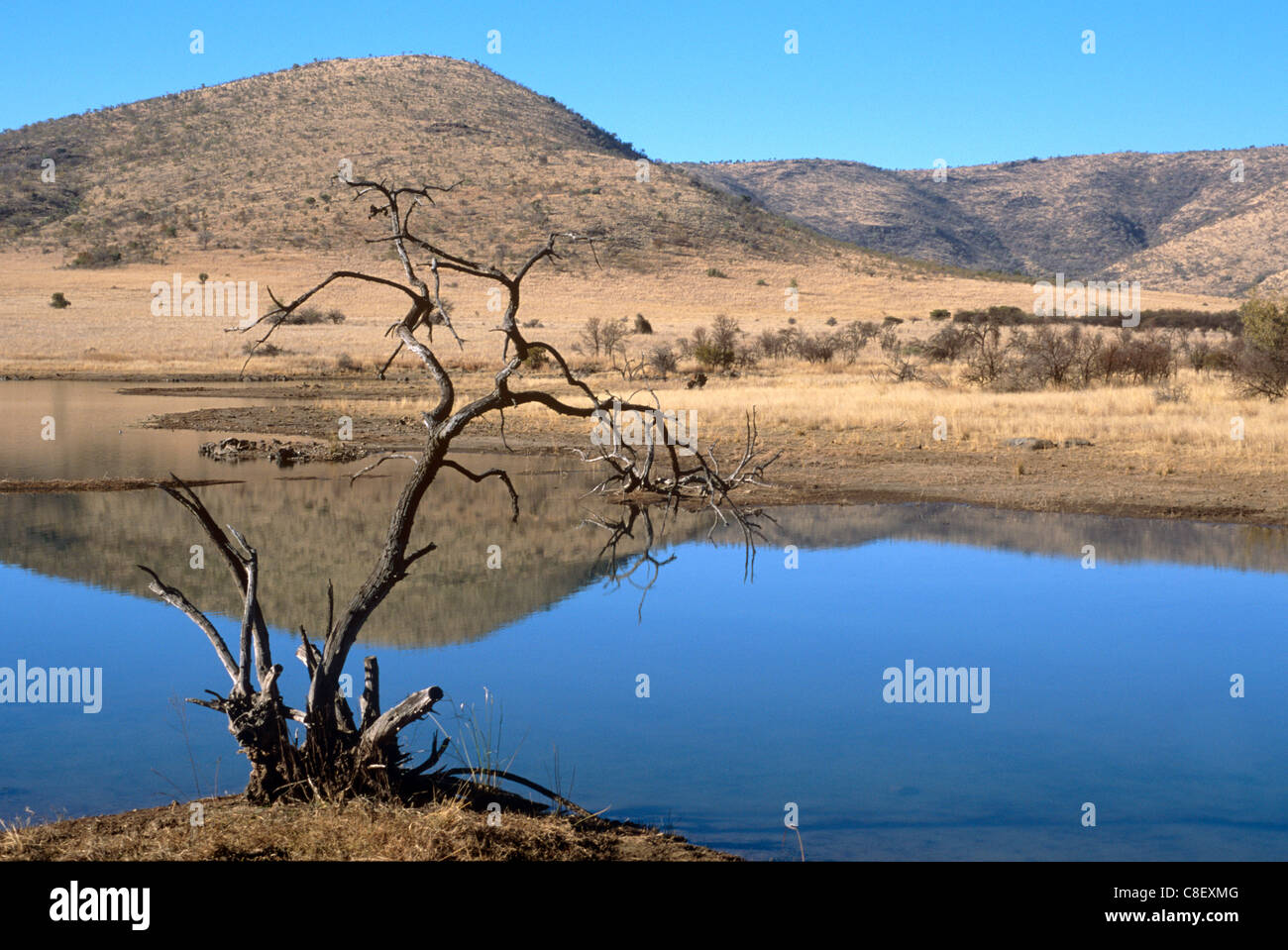 Mankwe Dam, central lake in the Pilanesberg National Park, North West ...