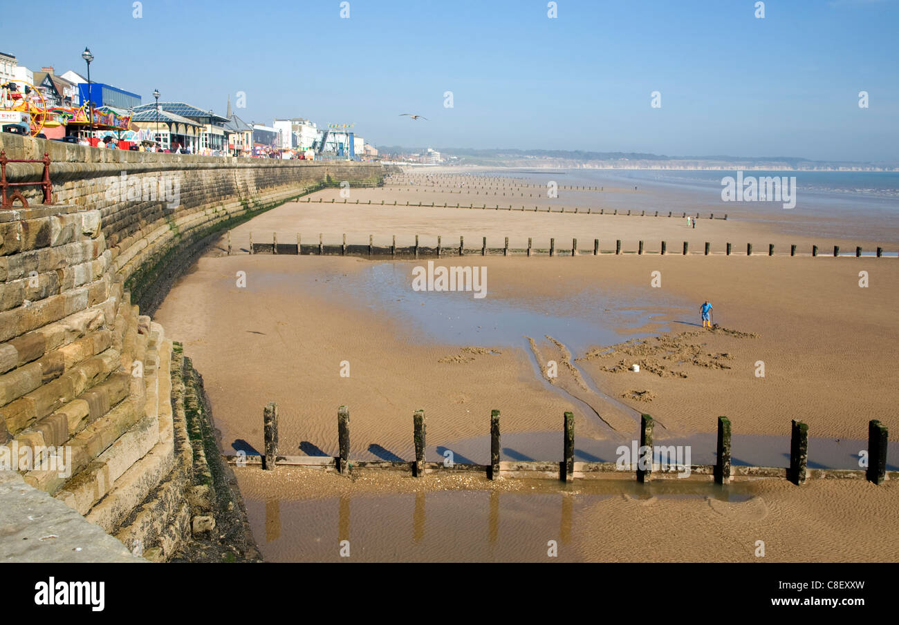 Digging for sand worms hi-res stock photography and images - Alamy