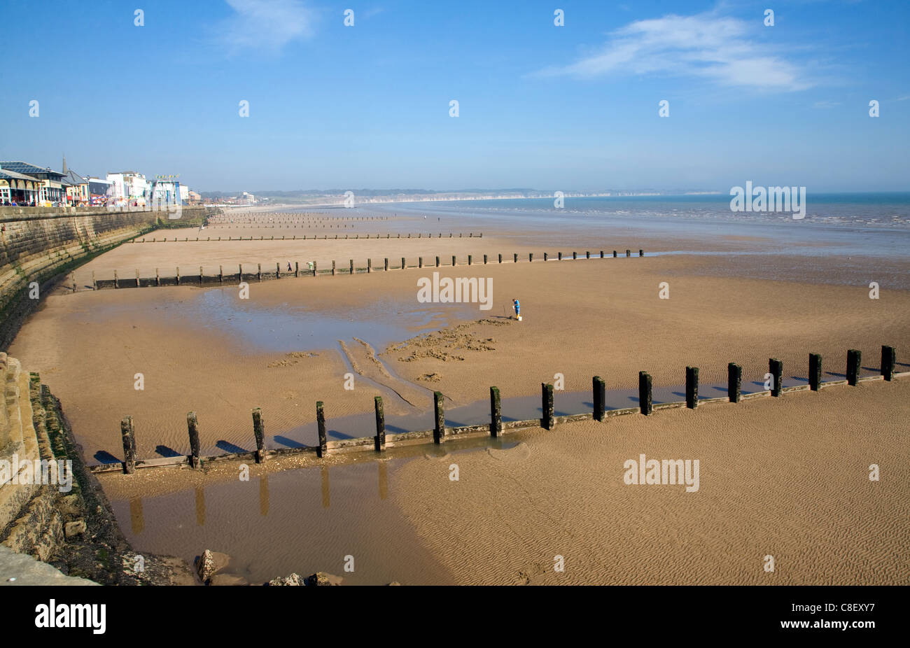 Man digging for worms on sandy beach, Bridlington, Yorkshire, England ...