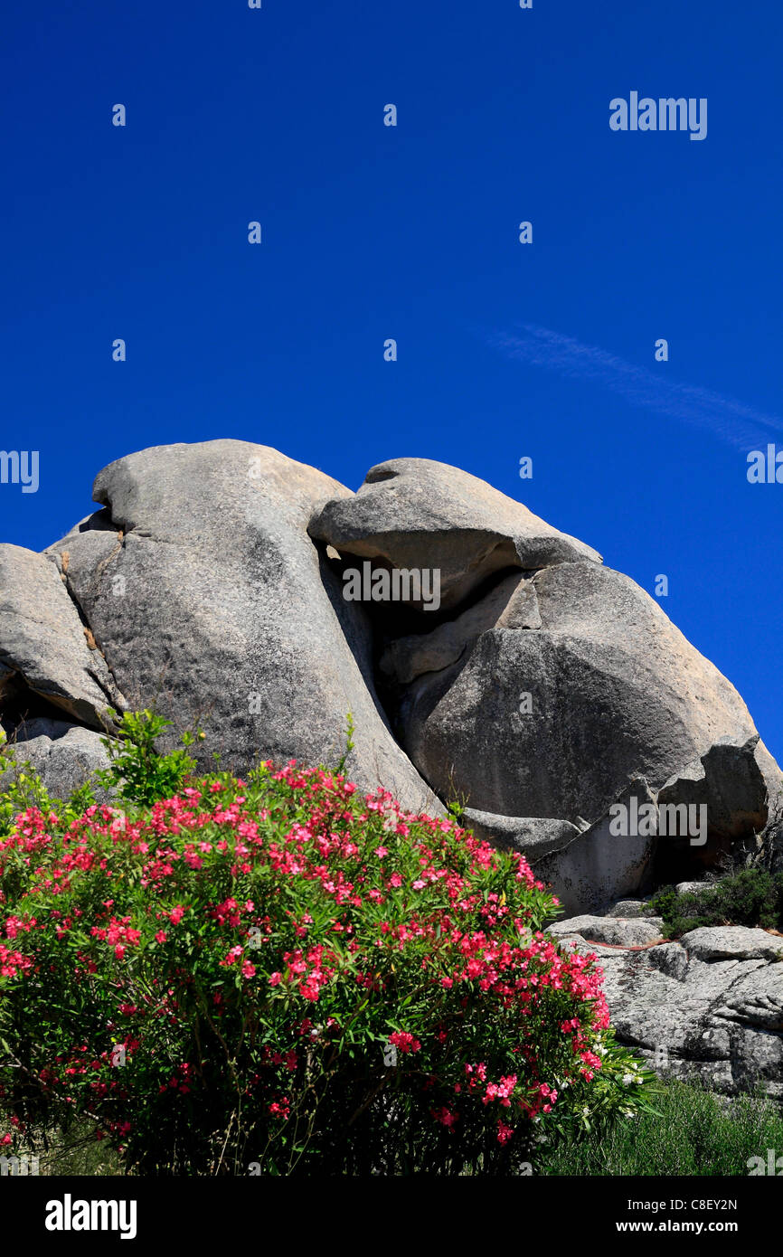Figari south corsica hi-res stock photography and images - Alamy
