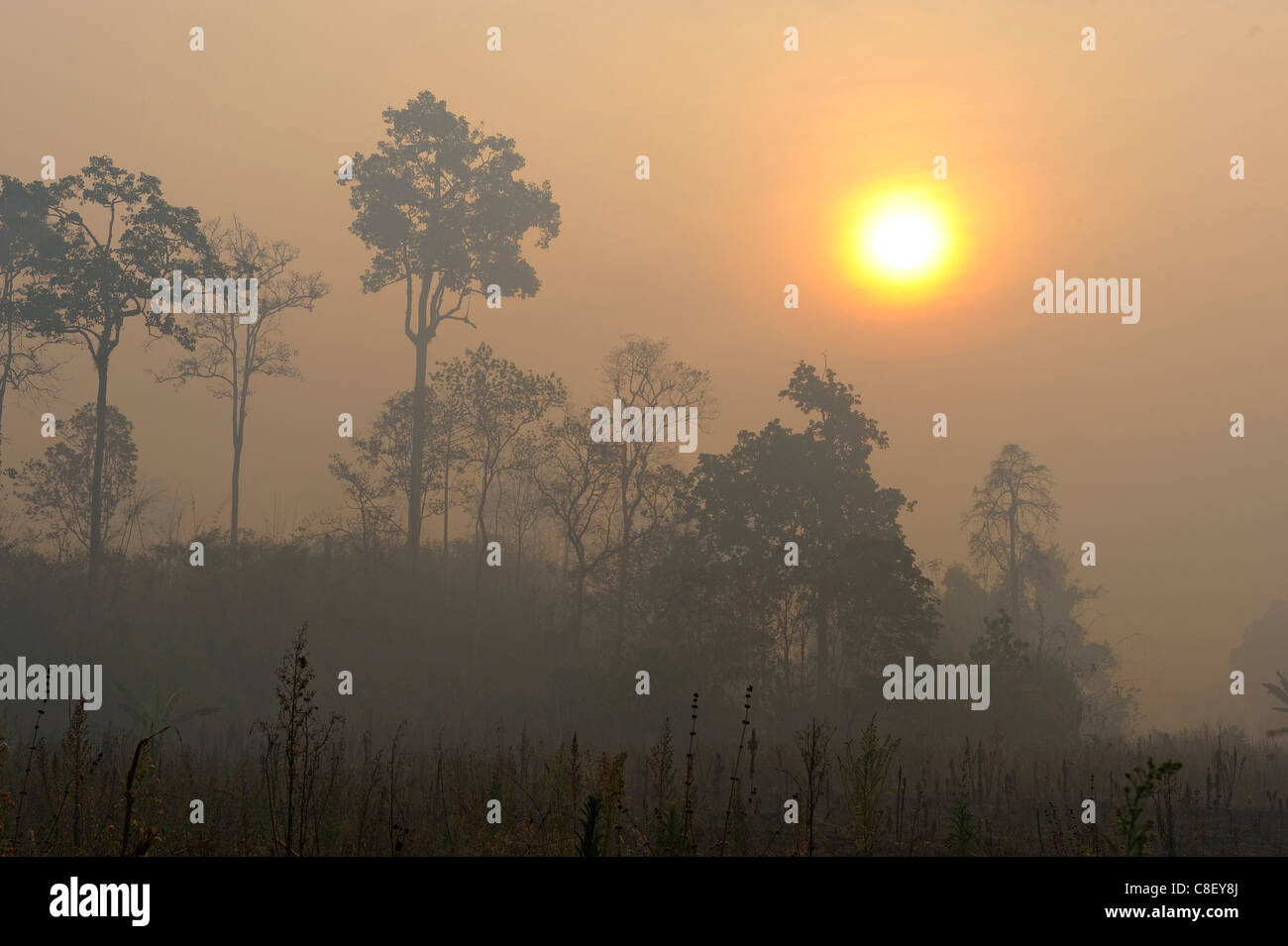 Sun rising hi-res stock photography and images - Alamy