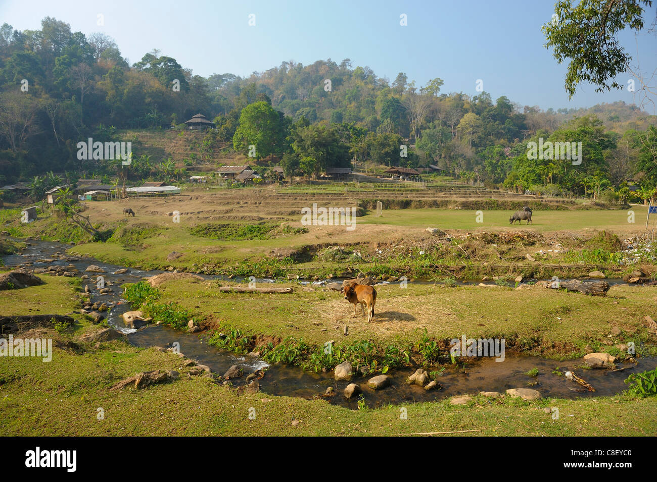 Mae Sa, landscape, Valley, Chiang Mai, Thailand, Asia Stock Photo - Alamy