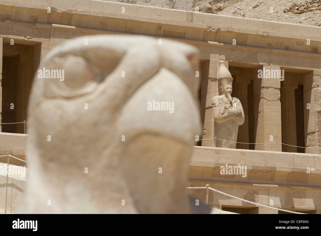 Horus as falcon hi-res stock photography and images - Alamy