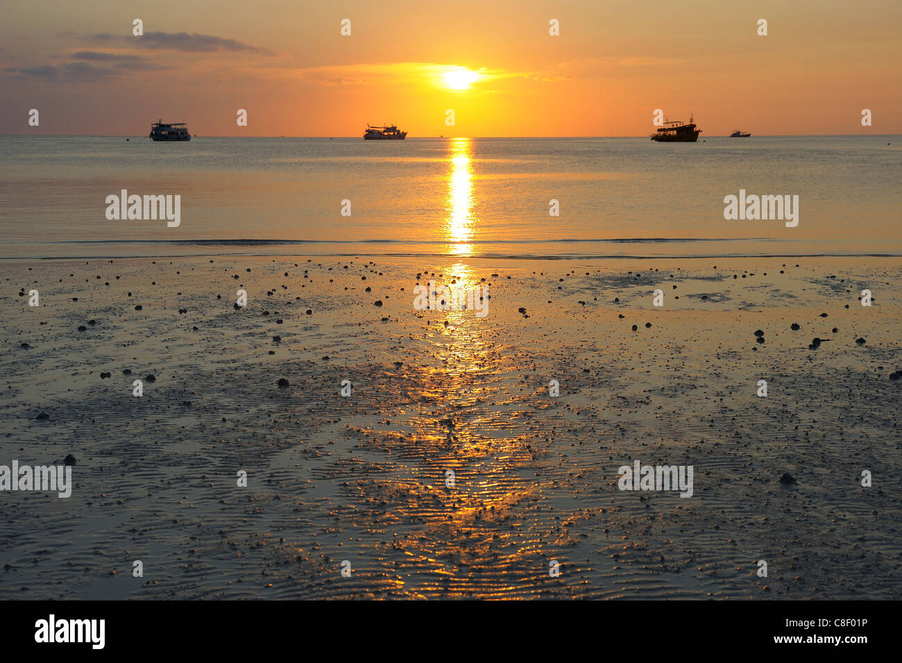 Boats, sunset, Sai Ree, Beach, Koh Tao, Thailand, Asia, sea, water ...