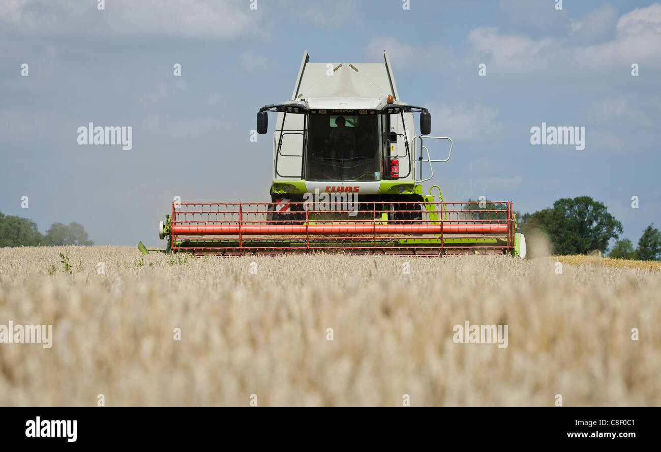 Wheat farmer germany hi-res stock photography and images - Alamy