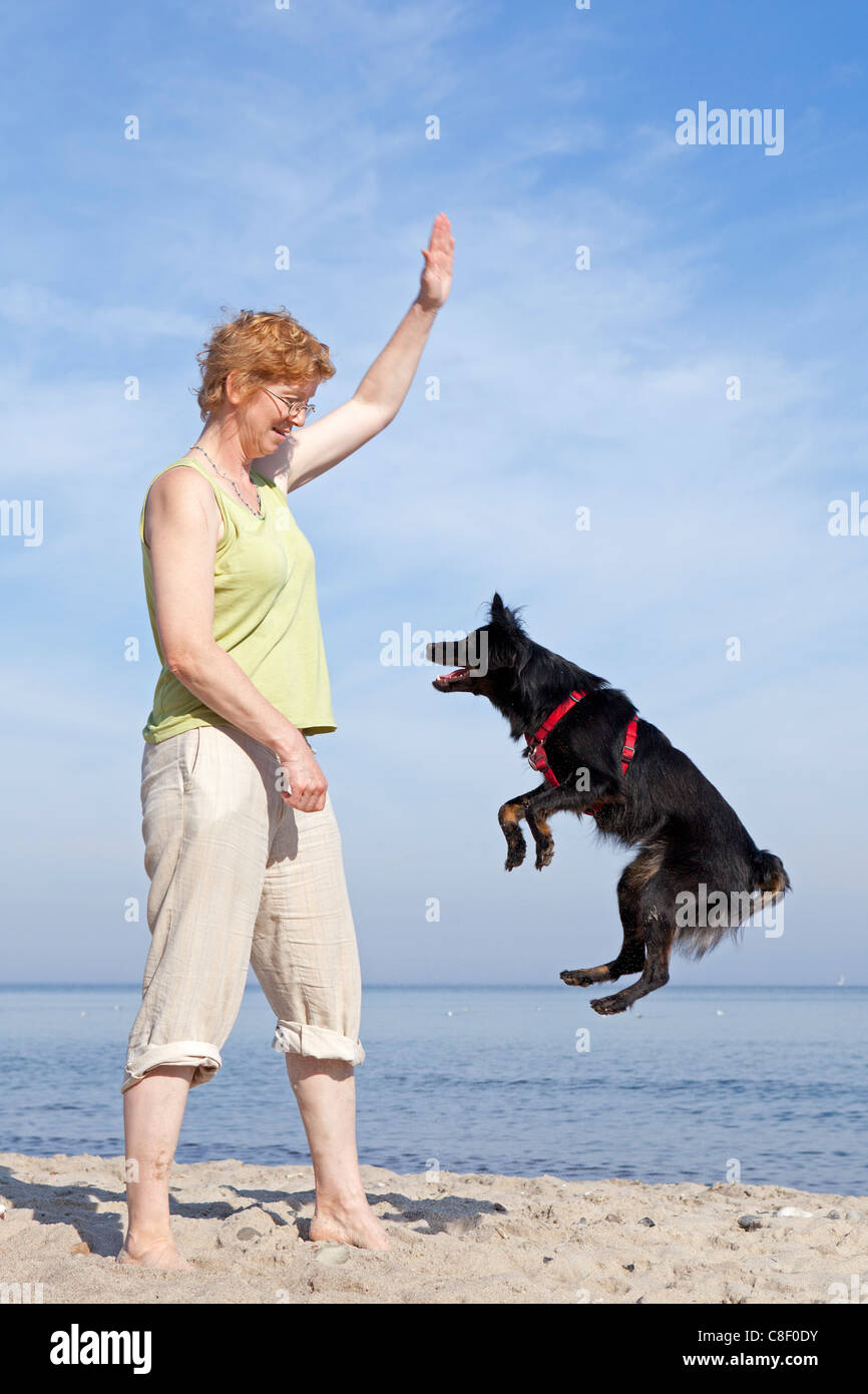 woman making her dog jump at a beach Stock Photo - Alamy