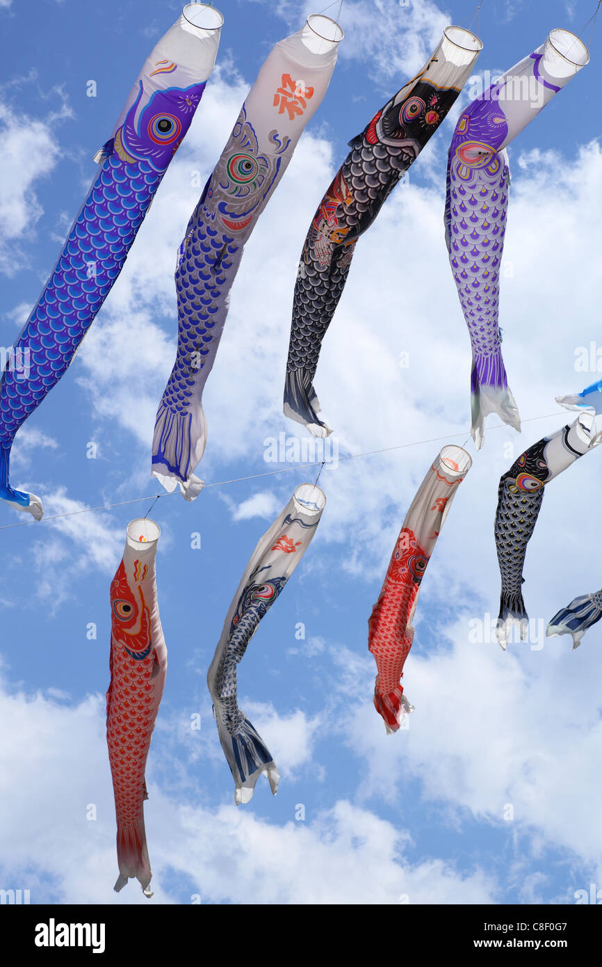 Child carp hi-res stock photography and images - Alamy